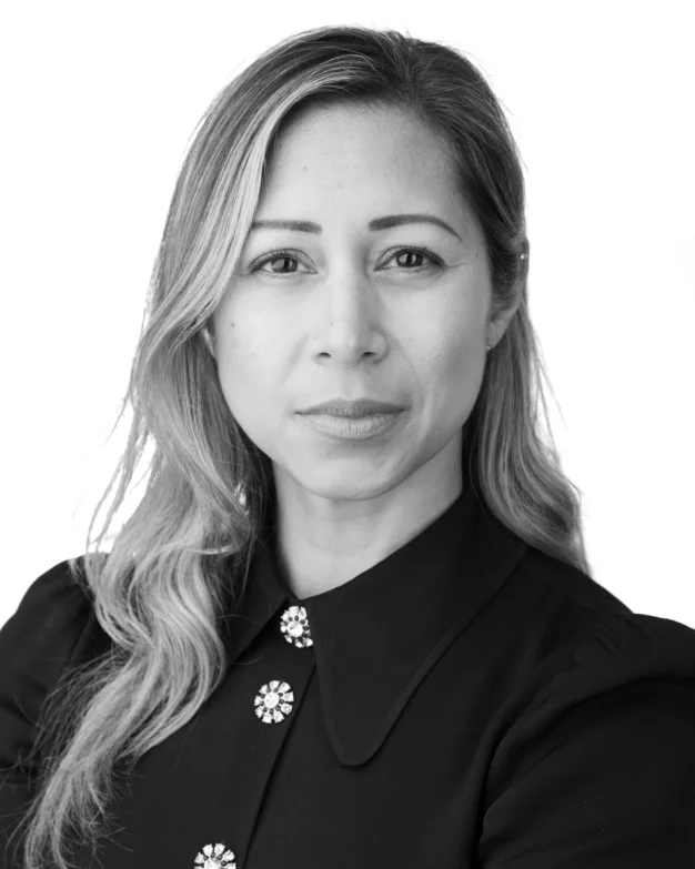 Mesher Orders Explained